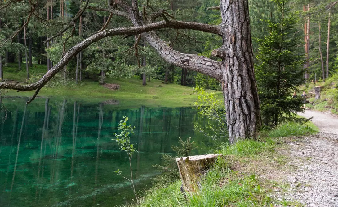 But in the spring everything changes here. The water is very clear and very cold - not long ago it was an ice crust.