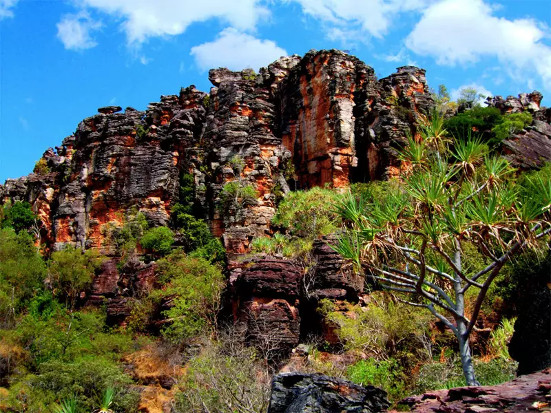 Kakadu, Australien Fläche: 19 804 km² Der Name des Parks stammt von dem Kakadu-Stamm, der in diesem Gebiet lebte. Der Park ist von allen Seiten von Felsvorsprüngen umgeben, wodurch sich hier ein einzigartiges biologisches Reservat gebildet hat. Im Park sind mehr als 1.700 Pflanzenarten registriert, und seine Fauna wird durch 280 Vogelarten, 117 Reptilienarten, 77 Fischarten, 1.000 Insektenarten und 60 Säugetierarten repräsentiert. Der Park ist auch für eine Vielzahl von Naturgebieten bekannt: von schattigen Sümpfen und sonnigen Ebenen bis hin zu undurchdringlichen Wäldern.