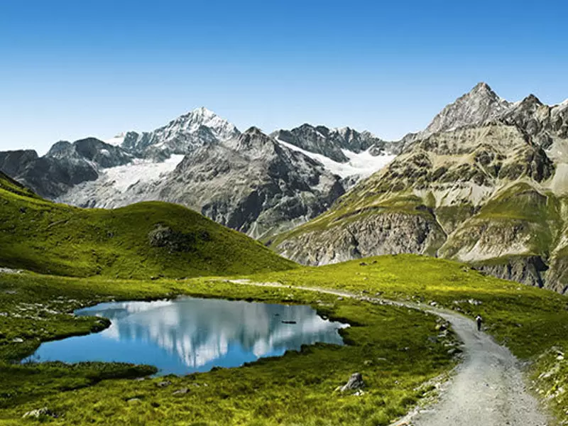 Schweizerischer Nationalpark, Schweiz Fläche: 172,4 km² Der einzige Nationalpark der Schweiz liegt im Engadin. Der Park umfasst die Alpen in Höhen zwischen 1400 und 3174 Metern über dem Meeresspiegel. In freier Wildbahn können Sie im Park Bergziegen, Gämsen, Murmeltiere, Feldhasen, Eidechsen und unzählige Vögel beobachten. Im Park gibt es 21 Wanderwege mit einer Gesamtlänge von 80 km.