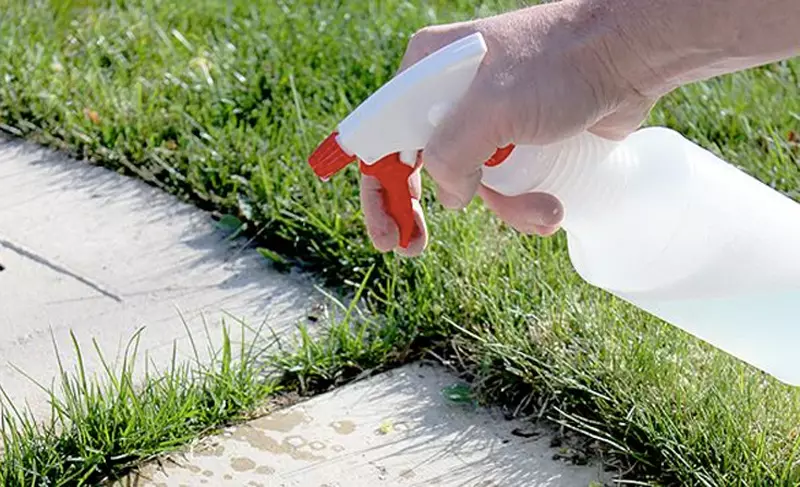 Umbrohutõrje sidrunit saab kasutada salajase umbrohutõrje relvana. Pihustage sidrunimahla taimedele, millest soovite lahti saada, ja nad surevad vaid paari päeva pärast.