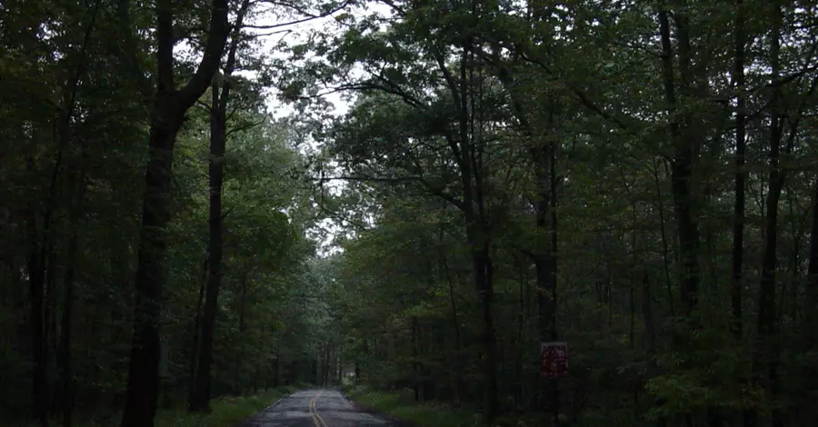 Ni opopona iku AMẸRIKA Lootọ, o pe ni diẹ diẹ sii ni otitọ - Awọn ojiji Of Road Road. Ọna opopona yii wa ni New Jersey, nitosi New York. Nibi ni gbogbo ọdun to ọpọlọpọ awọn ipaniyan mejila waye, eyiti ko si ọkan ninu awọn aṣawari ọlọpa ti o ṣe lati yanju. Ti o ni idi ti ko si awọn agabagebe ni agbegbe ti o ṣetan lati yanju ko jinna si ipa -ọna yii.