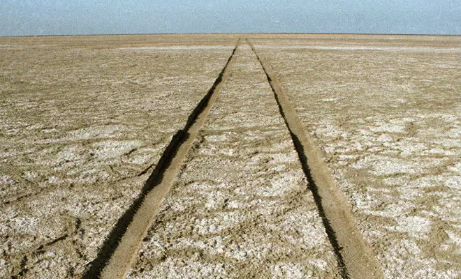 Leiloa taulaga i le pito i lalo o le Aral Sea: o se maua e archaeologists lalo o se vaega o le oneone 1244_2