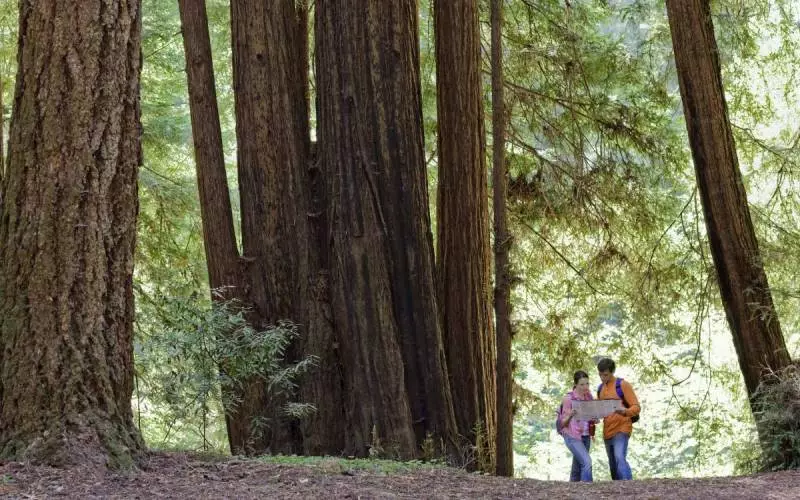 California A shekarar 1958, Ray Wallace, mai kamfanin gine -gine a arewacin California, ya nuna wa jama'a fim ɗin launi wanda ya nuna Bigfoot (sunan Amurka na Bigfoot) yana wucewa cikin daji. Fim din ya girgiza duniya, amma bayan mutuwar Wallace an bayyana cewa fim ɗin da sauran “ƙwaƙƙwaran hujja” shi da iyalansa suka ƙirƙira. Duk da haka, akwai mutanen da ke iƙirarin cewa Bigfoot yana rayuwa da gaske anan.