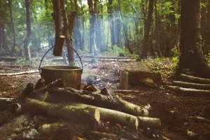 हामी जंगलमा पानी शुद्ध: शिकारीहरु र foresters को विधि