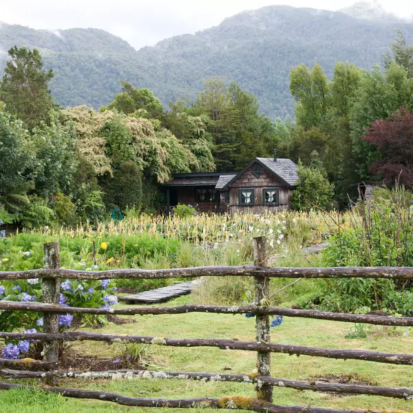 Tá Pumalin ar cheann de cheithre pháirc a chruthaigh comhshaolaí iomráiteach agus comhbhunaitheoir North Face agus Patagonia, Douglas Tompkins, a thaistil timpeall na Patagonia leathchéad bliain ó shin.