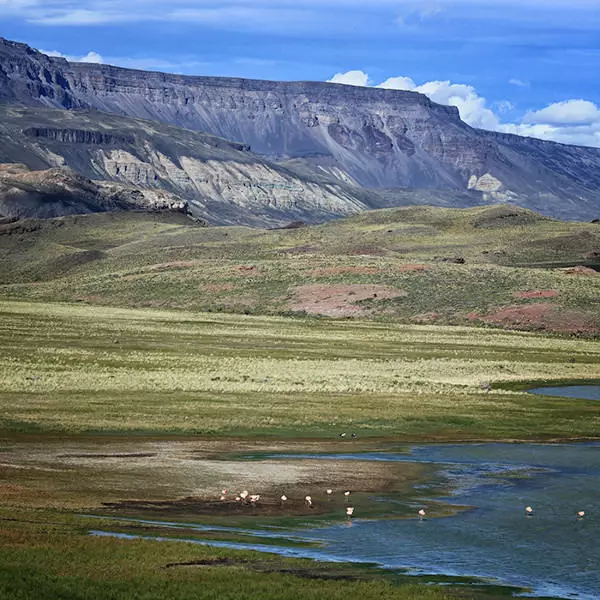 A cikin 2015, kadada 650,000 na tsaunuka da gandun daji na Chile, ta ƙoƙarin Douglas Tomkins da matarsa, Chris, sun yi alƙawarin zama Patagonia National Park, wani aljanna ga masu neman kasada daga ko'ina cikin duniya.