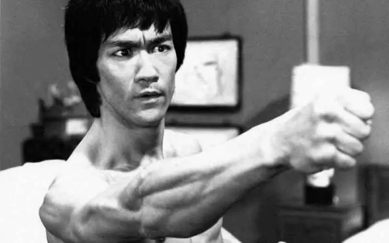 Kogu saladus on randmehoos Tehes enne lööki randme märkamatut liigutust, saavutas Bruce Lee löögi jõu märkimisväärse tõusu ja koondas kogu selle jõu ühele punktile, kustutas oma konkurendid pulbriks . Olles õppinud tema väikest saladust, saate teada, kuidas vaenlasest kõik jamad välja lüüa, kirjutades talle ühe suuna pileti Surnute orgu.