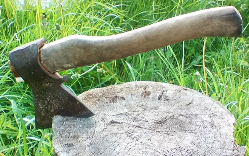 Hache En plus de couper du bois pour le feu, une autre mission importante a été confiée au participant à la campagne qui a pris la hache. A chaque halte, pour monter une tente, il fallait couper des piquets dans du bois. De tels piquets en bois étaient très lourds et les analogues en alliages de métaux légers n'avaient pas encore été livrés, il fallait donc à chaque fois les découper à nouveau pour ne pas les transporter.