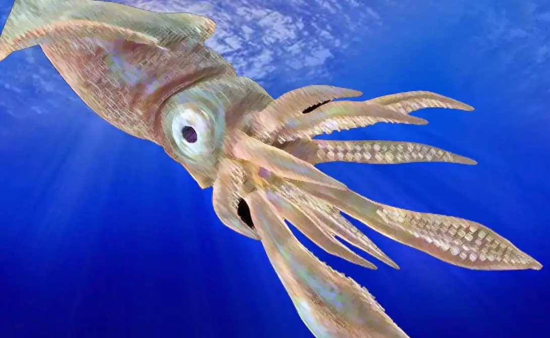 M'malo ake achilengedwe, chimphona chachikulu chija chinajambulidwa mu 2004. Mtundu wa Architeuthis dux, squid giant squid, atha kukhala Kraken wowopsa yemwe adapha miyoyo yambiri.