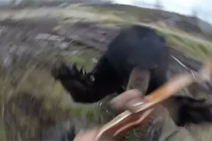 Un estúpido cazador salió al bosque con un arco y se encontró con un oso negro.