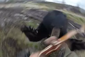 Un chasseur stupide est sorti dans la forêt avec un arc et a rencontré un ours noir