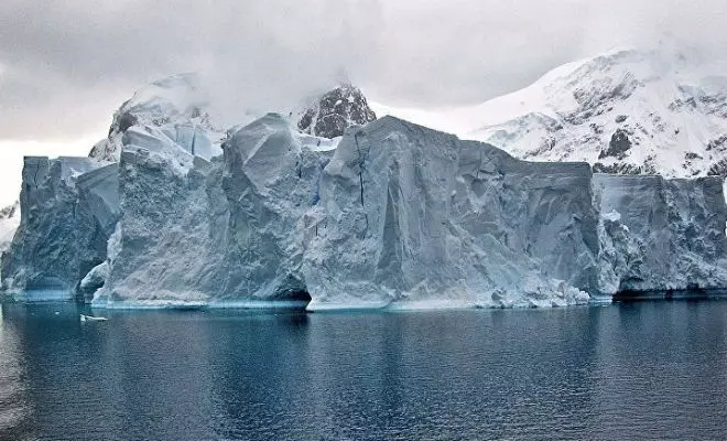 El mundo bajo el hielo de la Antártida: los científicos miraron debajo de la capa de hielo 1473_2