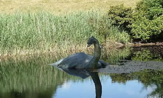 Ni eti okun ni Ilu Scotland, ẹda ti o jọra aderubaniyan Loch Ness ni a rii: awọn alamọja lọ si aaye naa