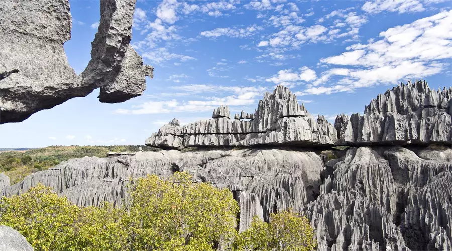 Lithaba tsa Namuli Mozambique Lithota tsa Phula ea Afrika Bochabela ke se seng sa libaka tse sa tsejoeng le tse ratanang ka ho fetisisa lefatšeng. Boholo ba sebaka sena bo ka hlahlojoa feela ke litsebi tse hloang lithaba. Ka hona, sebopeho sa sebaka seo, boholo ba sona, se lula se le joalo ho fihlela kajeno.