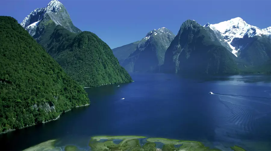 Fiordland Nov-Zelanda Nacia Parko Fiordland, la plej granda en Nov-Zelando, estis formita de glaĉeroj. La superforta dezerto estas hejmo al unika diverseco de bestoj. Takahe estis trovitaj ĉi tie, kiuj dum jarcentoj estis konsideritaj formortinta specio de neflugaj birdoj. Fiordland estas unu el la plej sovaĝaj areoj en la Suda duonglobo.