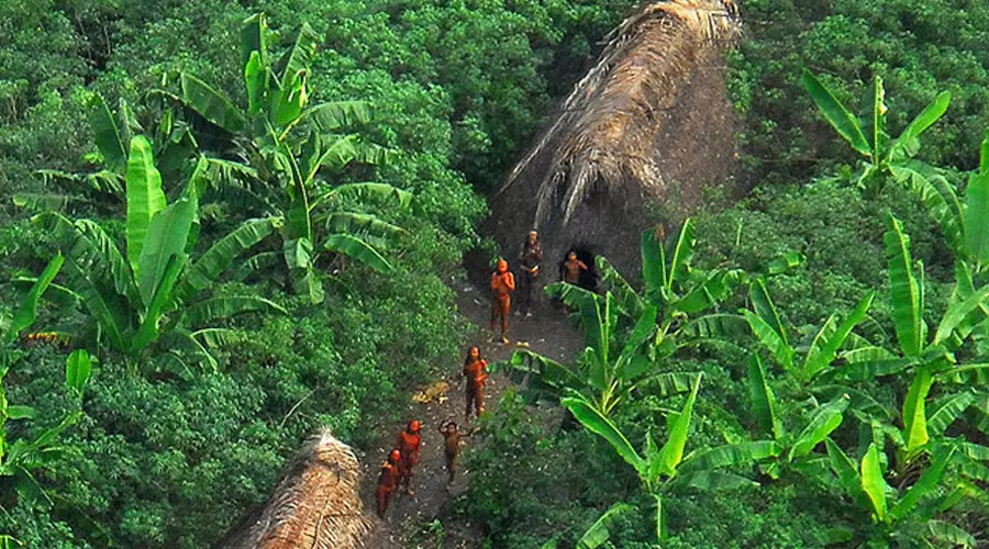 Javari Valley Brazil Thaj chaw no muaj tsawg kawg 14 tus neeg tsis sib cuag nrog Amazon pawg neeg, yog ib qhov chaw sib cais tshaj plaws hauv ntiaj teb no - kuj vim tias tsoomfwv tau txiav txim siab lawv li ntawd. Kwv yees li 2,000 tus neeg hauv paus txawm tau txais kev ywj pheej los ntawm tsoomfwv Brazilian. Qhov loj ntawm lawv qhov chaw nyob yog piv rau Austria. Txoj cai ntawm pab pawg neeg nyob hauv kev nyob ib leeg yog kev tiv thaiv los ntawm tsoomfwv lub chaw haujlwm, thiab cov tub rog tshwj xeeb saib xyuas cov ciam teb, tiv thaiv lawv los ntawm kev nkag sab nraud.