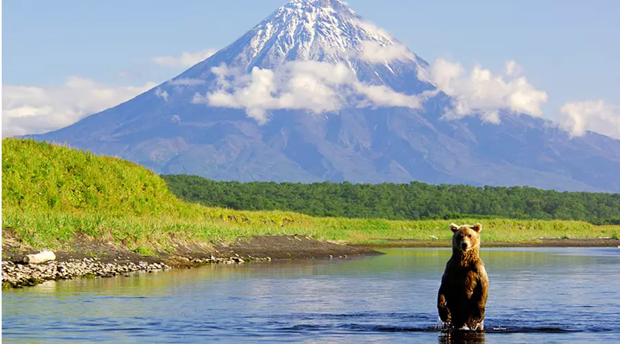 Kamchatka Russia The peninsula located in the east of Russia is one of the richest and most unexplored in the whole world. More than three hundred volcanoes function here, including the one that has been erupting continuously since 1996. The local flora and fauna are very diverse. Most brown bears live in Kamchatka, while the population is only about 400 thousand people.