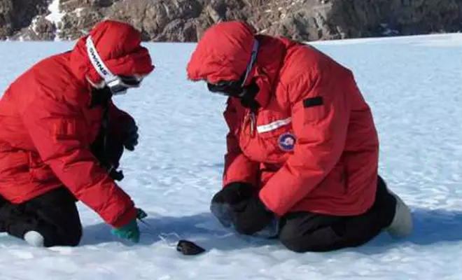 Achados de cientistas no gelo: a neve recuou e derreteu os artefatos 1603_2