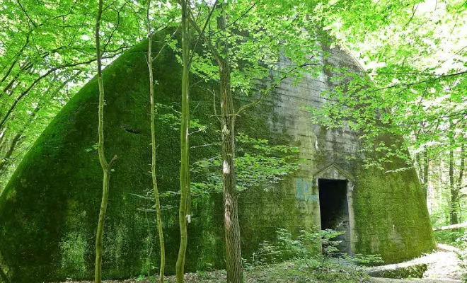 Bunker për trenin e Hitlerit: ata gjetën selinë e Rajhut në një pyll të thellë