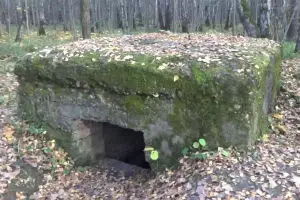 De bunker in het bos is sinds de oorlog niet meer aangeraakt: de gravers vonden hem als eerste en gingen naar binnen