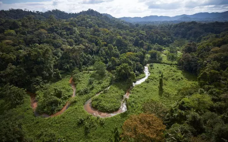 Waarom is hij niet eerder gevonden? Het lijkt erop dat het zoekgebied niet zo geweldig is. Maar het dichte struikgewas van de jungle is niet de beste plek om naar iets te zoeken, en de onderzoekers hadden het er moeilijk mee. Kranten berichten echter al tientallen jaren dat de gewenste stad eindelijk is gevonden. De luidste uitspraak in de New York Times over de langverwachte ontdekking werd gedaan door een zekere Theodore Mord in de jaren 40. Maar zijn bewering werd niet door feiten ondersteund.