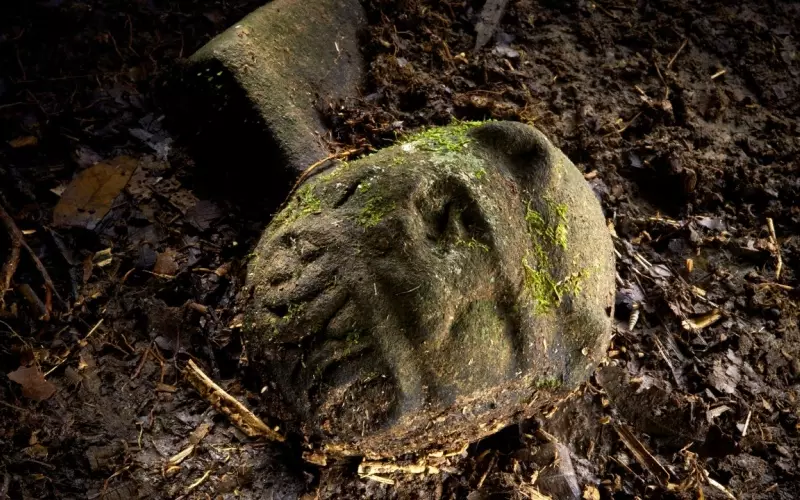 Découvertes impressionnantes Une expédition de repérage est revenue la semaine dernière avec des nouvelles accablantes. Au cours des fouilles, ses membres ont récupéré 52 artefacts de la terre, y compris la tête d'une statue qui combinait les traits d'un homme et d'un jaguar. En comparant les faits, les archéologues sont arrivés à la conclusion qu'une civilisation entière avec un réseau développé de routes et d'infrastructures pouvait exister dans cette région.