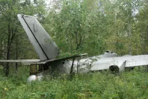 Avion iz Drugog svjetskog rata: slučajni nalaz berača gljiva u šumi