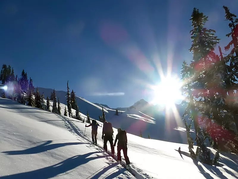 Rule # 15 When leaving the area, use the already established routes, preferably those that go through the trees. This will protect you from possible avalanches, and will not allow you to serve as a trigger to one of them yourself.