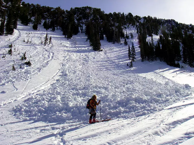 Rule # 4 The so-called “point avalanches” are a type of avalanche that usually starts from one specific source — for example, your skis rolling over a certain area — and then the avalanche begins to snowball.