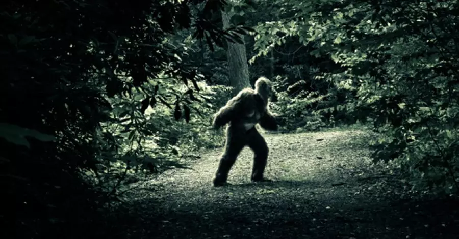 Bigfoot Severní Amerika Bigfoot je nejslavnější mýtické monstrum v celé Severní Americe. Očití svědci (sic!) Zajistěte, aby tento humanoid preferoval život v lesích a nerad by se ukazoval lidem - to ve skutečnosti vysvětluje vzácné záběry z filmu Bigfoot. Čtyřikrát ročně, to znamená každou sezónu, se stovky lidí spojují v gigantických výpravách: pročesávají nejvzdálenější části lesů a snaží se najít alespoň jednu stopu tohoto bájného tvora. Někteří to najdou.