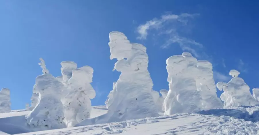 Ningen Antarctica Þessi hvíta skepna getur orðið allt að 30 metrar á lengd. Sumir lýsa ningen sem fullkomlega manngerðri einingu, með handleggi, fótleggjum og fingrum. Aðrir halda því fram að ningen sé líkari hafmeyju og hafi fisk hala í stað fótleggja. Báðir eru sannfærðir um að ningen getur verið til bæði á landi og í vatni og á nóttunni ræðst það á bílastæði sjómanna.