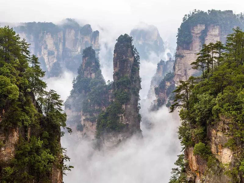 Zhangjiajie Park Tsohuwar gandun dajin kasar Sin tana da nau'ikan dabbobi sama da 500 da kyawawan kyawawan tsaunukan Wulingyuan, wanda ya zama samfuran shimfidar wurare na duniyar Pandora daga fim "Avatar". Tsawon kololuwa mafi girma ya kai kilomita 3. An rufe duwatsun da ciyayi da bishiyoyi, waɗanda shekarunsu suka kai ɗari da yawa.