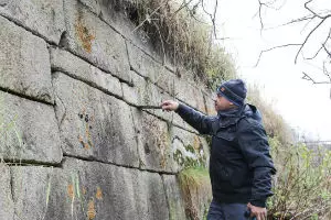 Muren är i djupt mysterium: en stenvall stod mitt i skogen