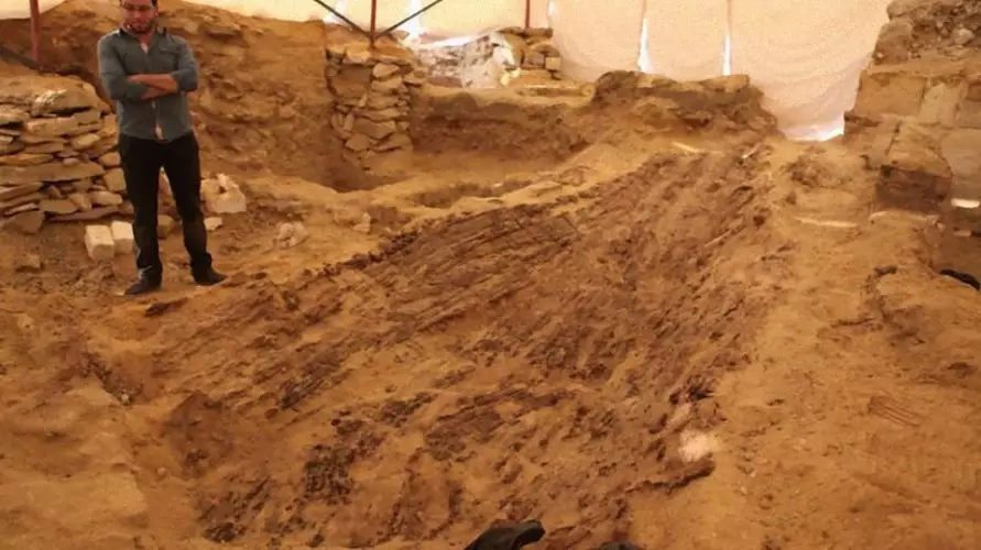 Faraonova loď V lednu 2016 objevili v egyptské nekropoli Abúsír, hluboko v saharských pískech, archeologové starověký pohřební člun, na jehož palubě odpočíval obyčejný rolník. Kdo byl tento muž, poctěný obřadem faraonů?