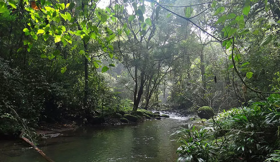 Sentier Transpanama, Panama Distance : 800 kilomètres Quiconque a déjà voyagé sous les tropiques témoignera des conditions locales très difficiles. Une jungle dense et humide pleine de moustiques et autres bestioles hématophages n'attend plus que vous pour commencer ce périple de 800 km. Mais en cours de route, beaucoup de choses intéressantes vous attendent. Depuis la frontière de la Colombie et du Costa Rica, vous vous retrouverez bientôt sur le territoire de tribus locales comme les Kuna et les Embera. Vous aurez également la chance de faire du canoë dans les eaux de la forêt tropicale et de suivre les traces des conquistadors qui étaient ici il y a 600 ans. L'ensemble du Transpanam Trail vous prendra plus de trois mois.