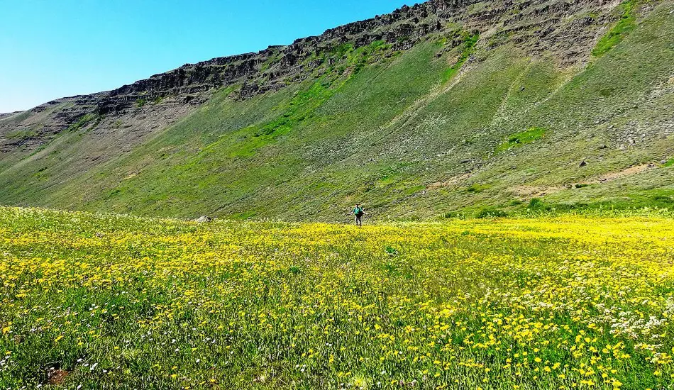 Oregon Desert Trail, USA Etäisyys: 1287 kilometriä Oregonin autiomaa on henkeäsalpaava ja erittäin karu maasto, joka koettelee sinua. Reitti on sekoitus lyhyitä polkuja, historiallisia siirtokuntien teitä ja erämaan läpi kulkevia polkuja. Aavikkoreitti on todella haastava haaste, jota ei pidä ottaa valmistautumatta. Sinulla on oltava kokemusta ja suuri vesimäärä. Kuitenkin hämmästyttävän kauniit maisemat tekevät tästä polusta erittäin houkuttelevan.