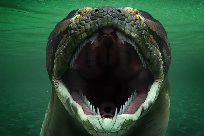 Gigantophis : boa constrictor géant fossile qui a avalé des requins et des crocodiles