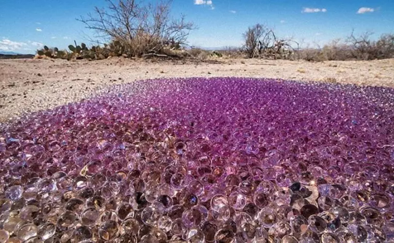 Violetit pallot Vuonna 2013 satunnaiset matkailijat vaelsivat Arizonan autiomaahan Tucsonista kaakkoon, missä he löysivät koko kentän tuhansista salaperäisistä läpikuultavista ja violetista palloista, jotka kuohuvat auringossa. Asiantuntijat uskovat, että nämä voivat olla joidenkin tieteen tuntemattomien sienien itiöitä, mutta ilmiöstä ei ole vielä tarkkaa tulkintaa.