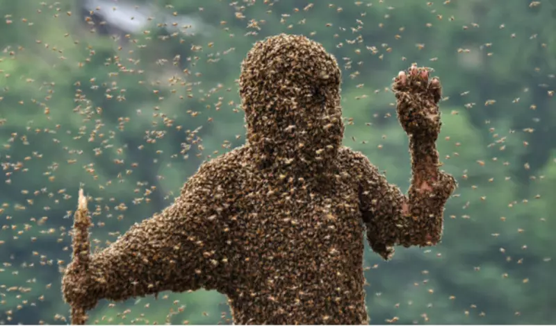 Ojstroj En Ĉinio estas la tiel nomataj mortigaj ojstroj - grandegaj kaj tre danĝeraj insektoj, kies mordoj ofte kaŭzas morton. Nur en la antaŭurbo de Ŝanhajo, pli ol kvar dekdu mortoj estis registritaj en 2013.