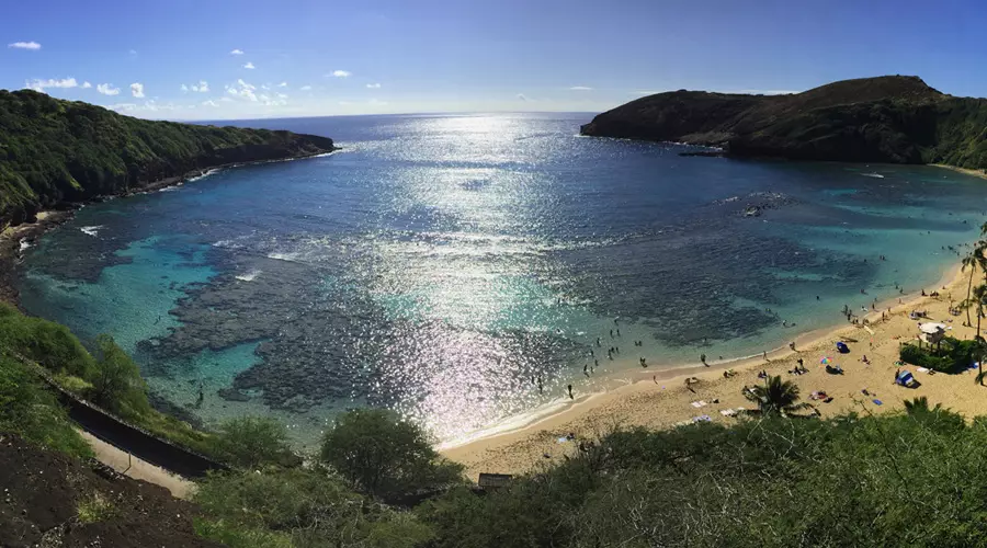 Nihau Island Robinson -familien ble de offisielle eierne av øya i 1864, og i 1915 ble den stengt for besøkende for å bevare den lokale naturen. I dag er det bare slektninger til eierne av øya, lokale innbyggere og en begrenset liste over representanter for den amerikanske marinen som kan komme til Niihau.