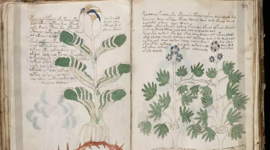 O le Voynich manuscript The Illustrated Codex na amata mai i le 1404, o lona uiga na tusia i le amataga o le Renaissance. I luga o itulau o le tusitusiga, e leai se faʻatuatuaina o ni manu mai le laueleele ma o le gagana na tusia ai e le mafai ona faʻamatalaina. E talitonuina o se le iloa alchemist faʻapitoa atiina ae se le malamalama gagana e le i ai i le mea moni, ae ei ai lona uiga.