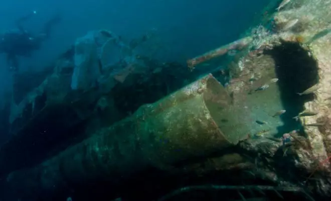 Reich's onderwaterarmada op de bodem: een vloot Duitse onderzeeërs werd op diepte gevonden