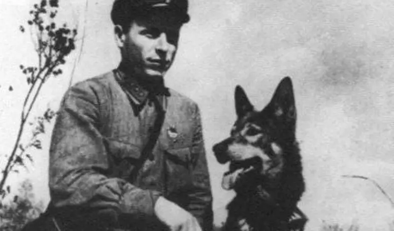 Perros suicidas de la URSS En 1941, las tropas nazis invadieron las fronteras sagradas de la Unión de Repúblicas Socialistas Soviéticas. Los vehículos blindados del enemigo eran especialmente problemáticos. En muchos frentes, la infantería tuvo que enfrentarse a unidades blindadas enteras. Se decidió utilizar perros de demolición: se suponía que un perro atado con explosivos se sumergía debajo del fondo del tanque y sacaba el pasador de la granada con los dientes. Durante una batalla real, la mayoría de los perros simplemente no pudieron entender lo que sucedía a su alrededor. Se apresuraron a regresar con el dueño, y tuvo que matar al desafortunado animal.