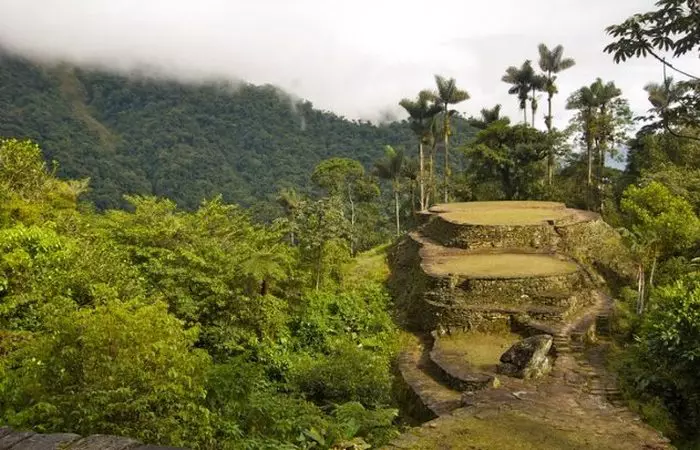 La Ciudad Perdida Aštuonis šimtus metų senovės Tayrona žmonės gyveno Siera Nevada de Santa Marta viršūnėse. Net konkistadorams nepavyko patekti į tokią dykumą, tačiau jie čia atvežė Europos ligų, dėl kurių žuvo visa civilizacija. Plėšikai pirmieji 1970 -aisiais atrado džiunglėse pasimetusį miestą. Jie į juodąją rinką atnešė tiek daug aukso ir nefrito figūrėlių, kad patraukė archeologų dėmesį.