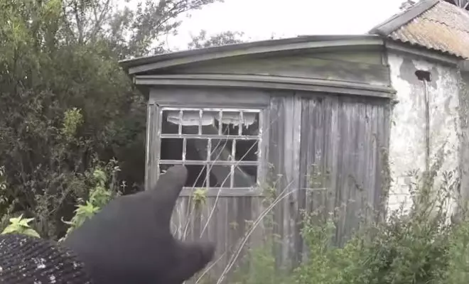 Se pusa teu i totonu o se fale tuai: 200 tupe siliva faʻataʻatia i lalo o le pou mo le sili atu ma le selau