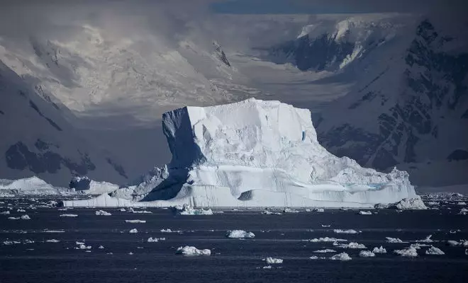 NASA alimləri Antarktidanı kosmosdan işıqlandırır və buzun qalınlığını göstərir