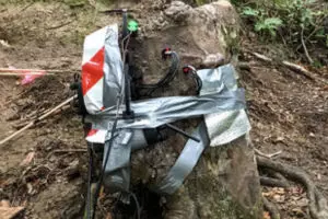 De stronk in het bos zag er alleen maar droog uit, terwijl hij zelf de sappen van de bomen eromheen zoog