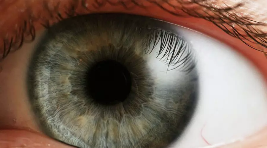 Dua Layer More recently, ophthalmologists have discovered a new layer in the human eye. It is located behind the cornea and is only 15 microns thick (1 / 1,000,000 meters). Most likely, the Dua layer will be able to help scientists pinpoint the cause of eye diseases.