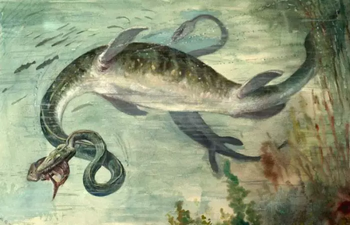 Elasmosaurus E 'ngoe ea li-plesiosaurs tse tummeng ka ho fetisisa lefatšeng, Elasmosaurus e tumme ka molala oa eona o molelele haholo. O ne a le butle haholo ebile a le bohlasoa, empa o ile a mamella. Elasmosaurus o ile a lelekisa phofu ka matsatsi a mangata 'me ae tšoara motsotsong oa ho qetela.