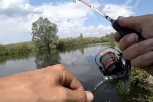 Charco de soños: carapaceiro e picota nunha cana de pescar baleira